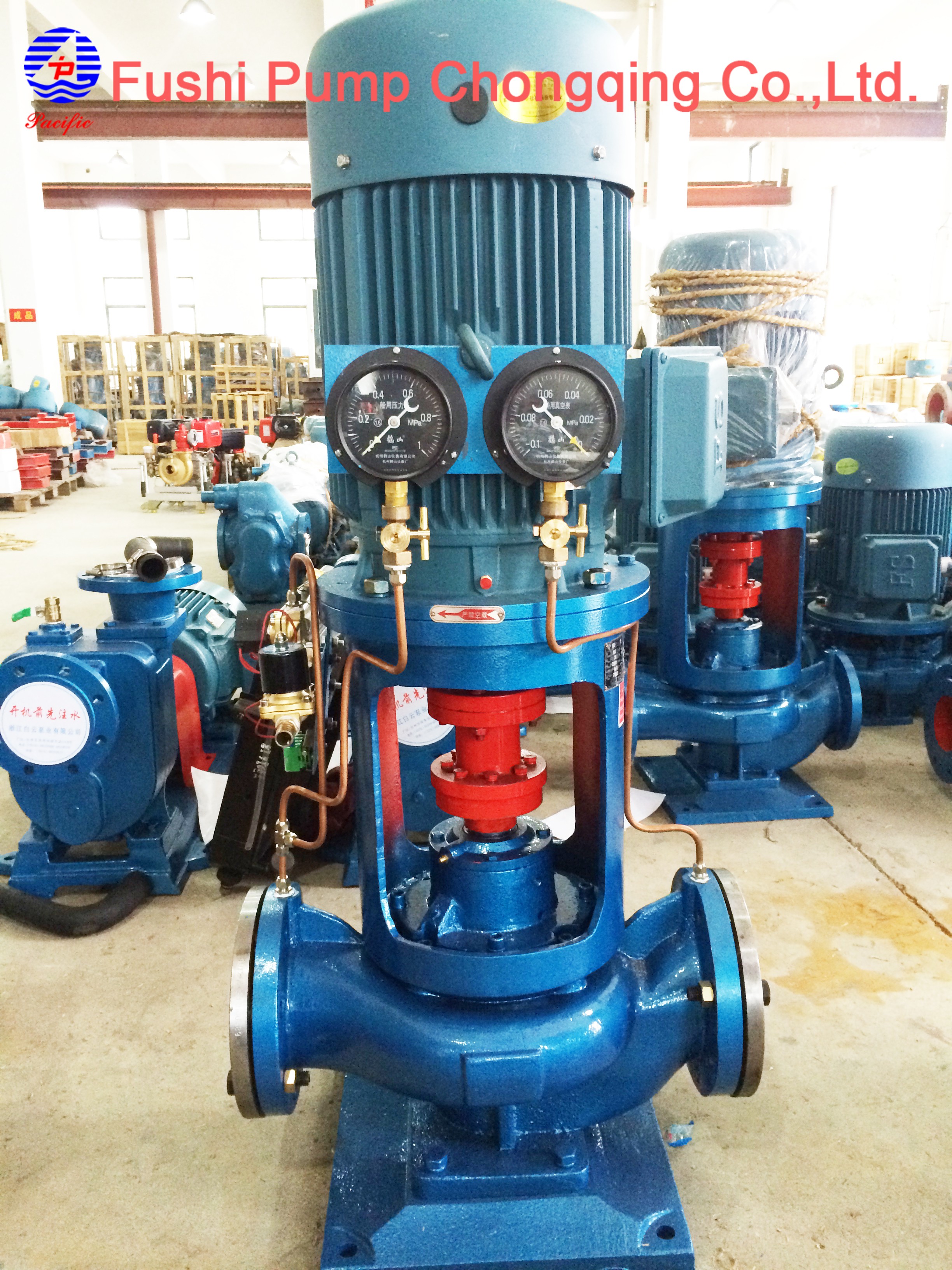 CL Marine Vertical Ballast Water Pump_Fushi Pump Chongqing Co.,Ltd.