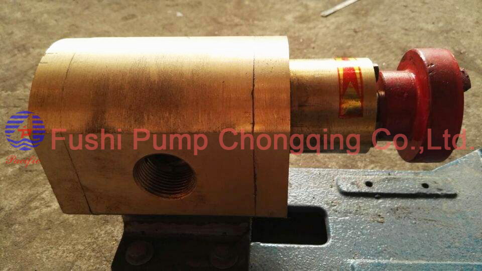 Marine Cast Bronze Pump Casing