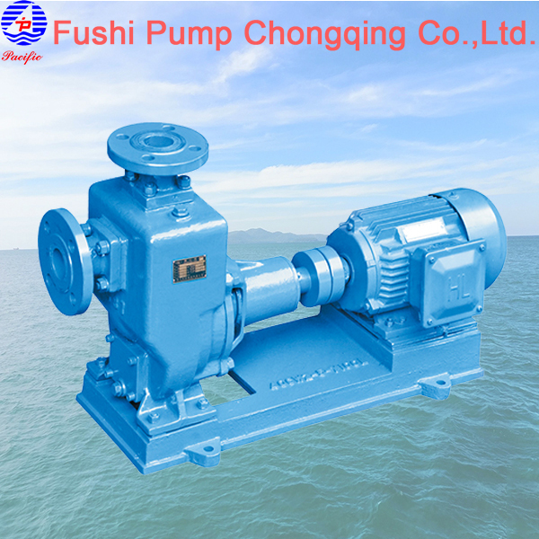 CWZ Marine Ballast Water Pump_Fushi Pump Chongqing Co.,Ltd.
