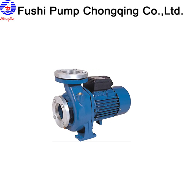 Marine Ballast Water Pump_Fushi Pump Chongqing Co.,Ltd.